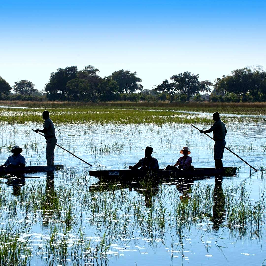 Mokoro adventures - Maun Blog