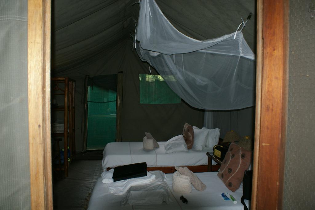 Audi Camp - Maun Blog